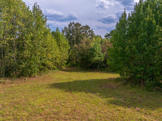 1393 U.S. 167