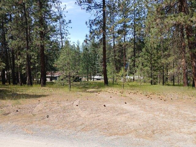 1393C W Old Kettle Rd, Kettle Falls, WA 99141