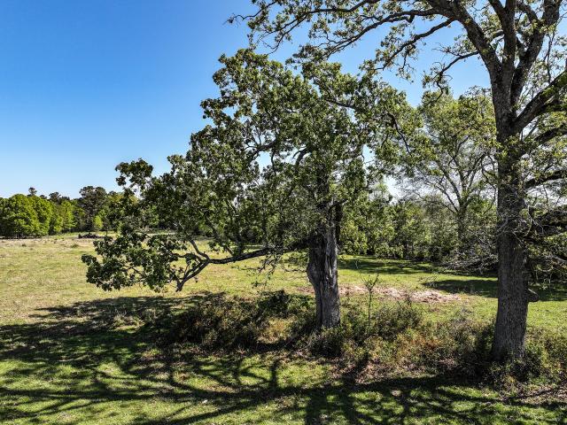 139.82 Acres State Highway 21 E
