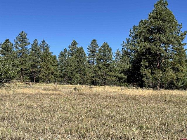 139 Coronado Cir, Pagosa Springs, CO 81147