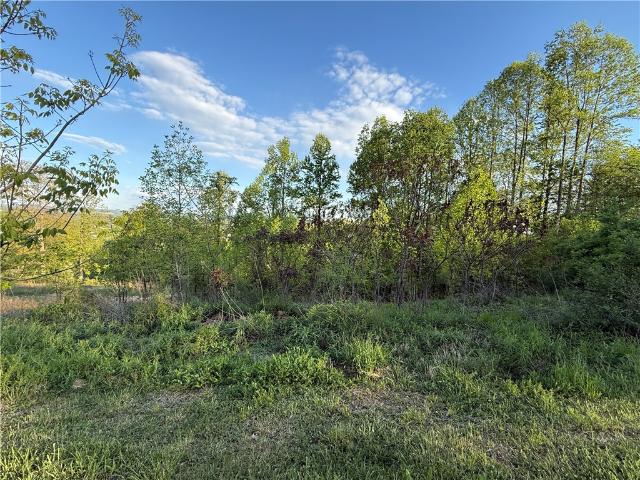 139 Crystal Dr