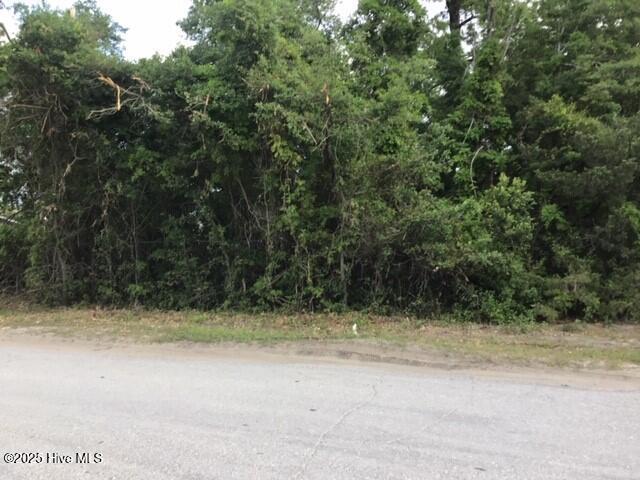 139 Bryan Rd, Wilmington, NC 28412 | MLS #100502