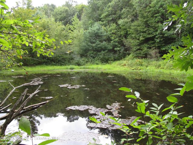 139 Burts Road