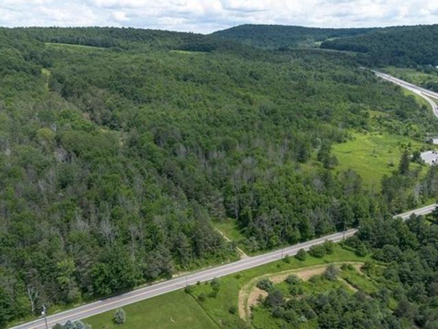 139 Gaf Lake Rd, Windsor, NY 13865
