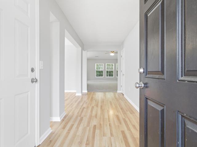 139 Old Tree Road