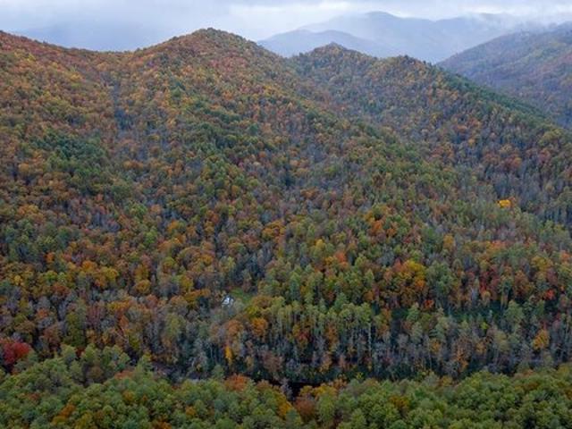 139 Land Iu Gap Rd, Robbinsville, NC 28771