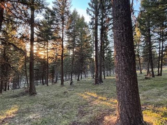 139 Montana View Dr, Seeley Lake, MT 59868