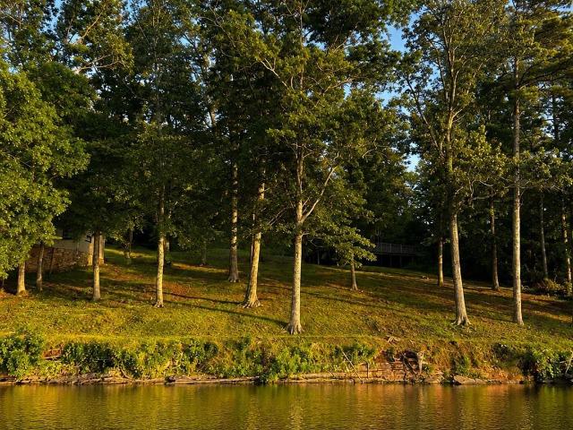 139 Monte Sano Drive
