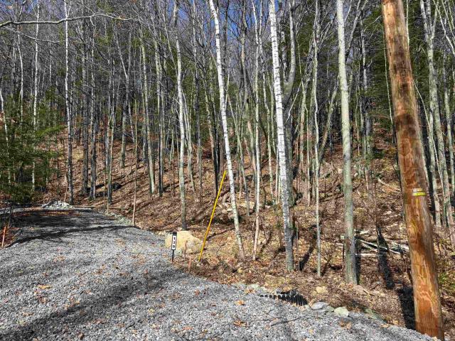 139 Tate Rd, Gilford, NH 03249 | MLS #5081 | Compass