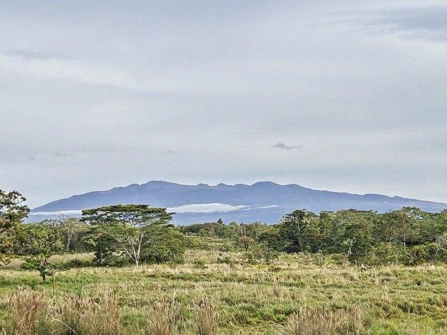 17 4800 South Rd, Kurtistown, HI 96760