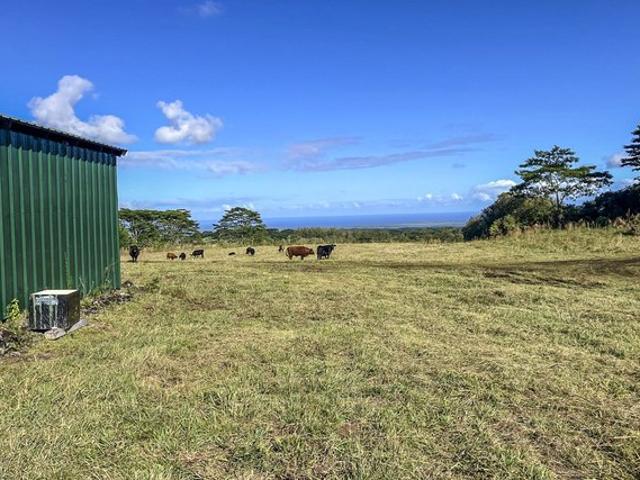 17 4870 South Rd, Kurtistown, HI 96760
