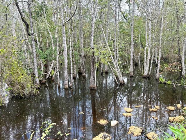 17.57 Acres Red Oak Road