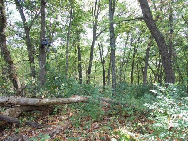 17.63 Acres Biglow Hill Road