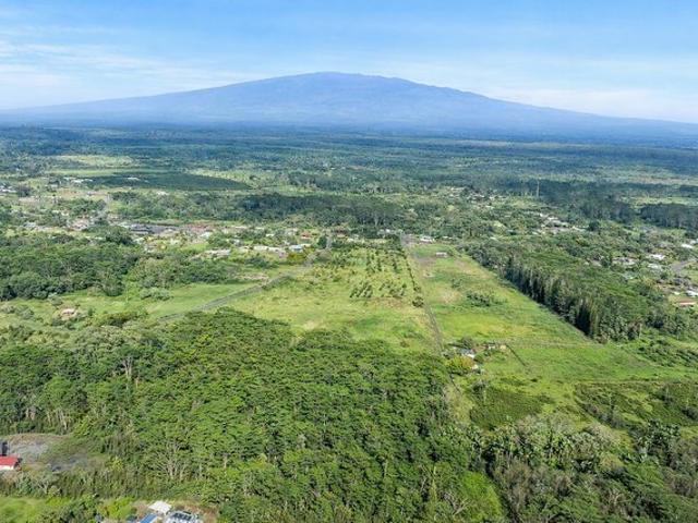 17 855 Olaa Rd, Kurtistown, HI 96760