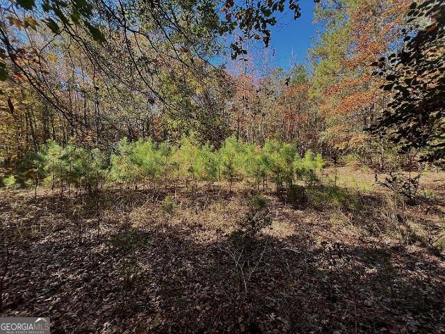 17.86AC Pine Ridge Drive