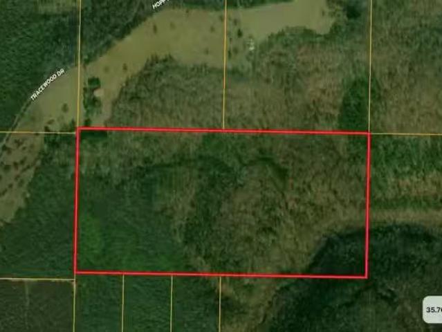 17 13N 14W TRACEWOOD DRIVE, DENNARD, AR 72629 Vacant Land For.
