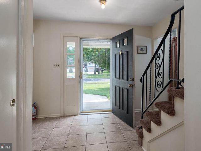 17 Tall Tree Court