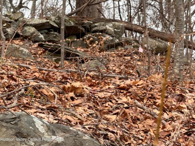 17 Vanessa Ln, Staatsburg, NY 12580 | MLS #20260