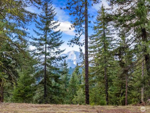 17 Wanawish Loop, Cle Elum, WA 98922 | MLS #2492