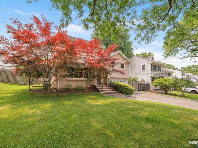 17 Westland Road