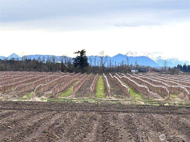 1766 Hampton Rd Lot 2, Everson, WA 98247