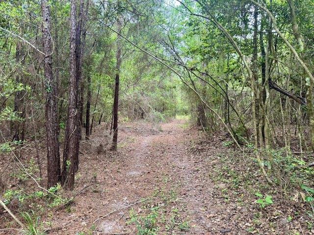 17 Acres County Road 1375, Warren, TX 77664