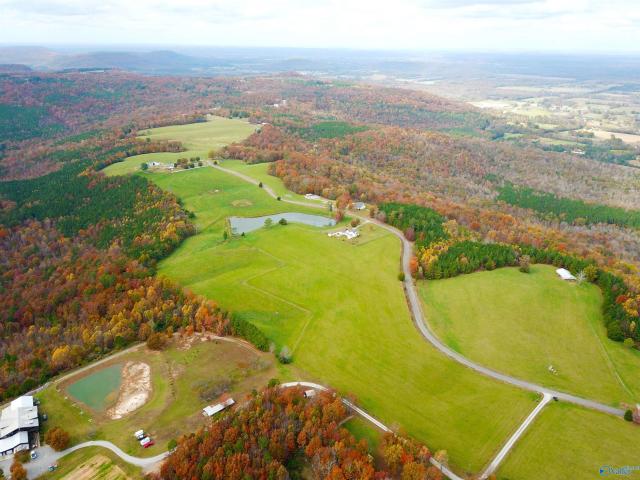 17 Acres Latham