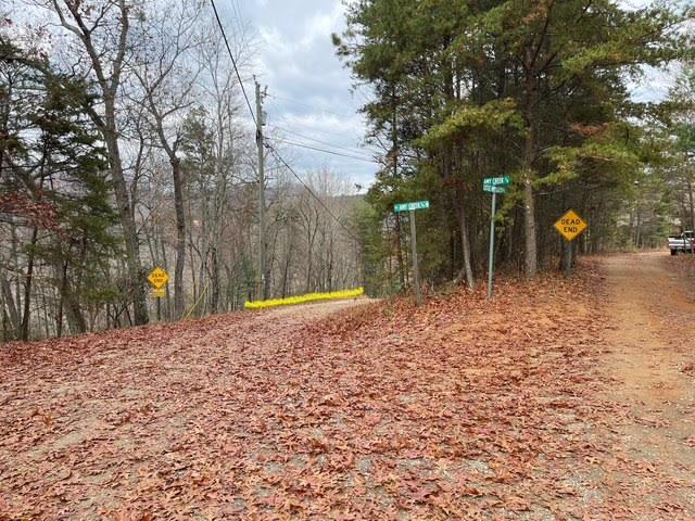 17 B Amy Creek Cir, Ellijay, GA 30540 | MLS #418648