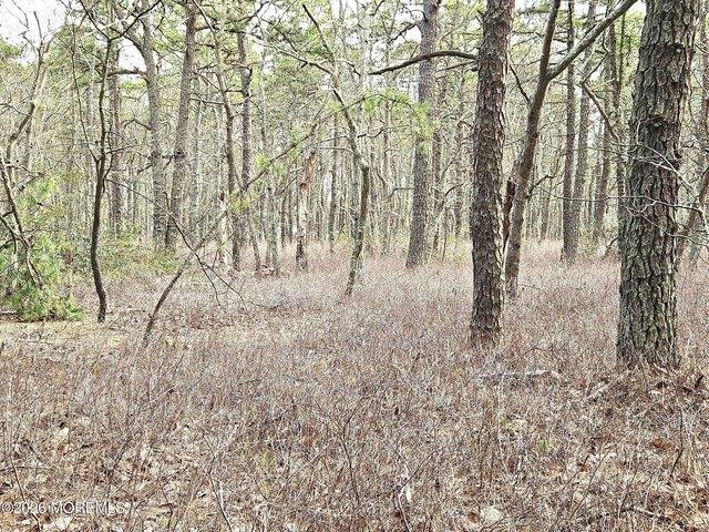 17 Birchwood Dr, Tuckerton, NJ 08087