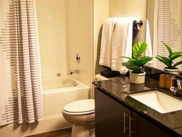 17 Broad 1 Bedroom Apartment for Rent at 1701 Broad St, Chattanooga, TN 37408 Downtown Chattanooga