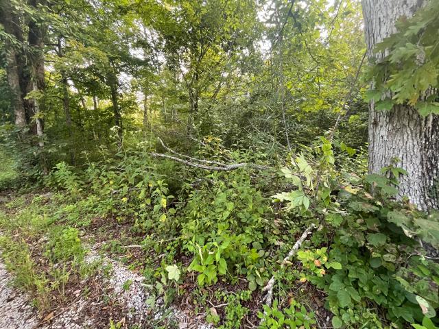 17 Buck Creek Circle