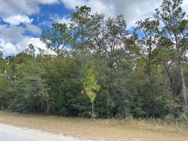 17 Canyon Swallow Rd, Weeki Wachee, FL 34614 | MLS #W7881 | Compass