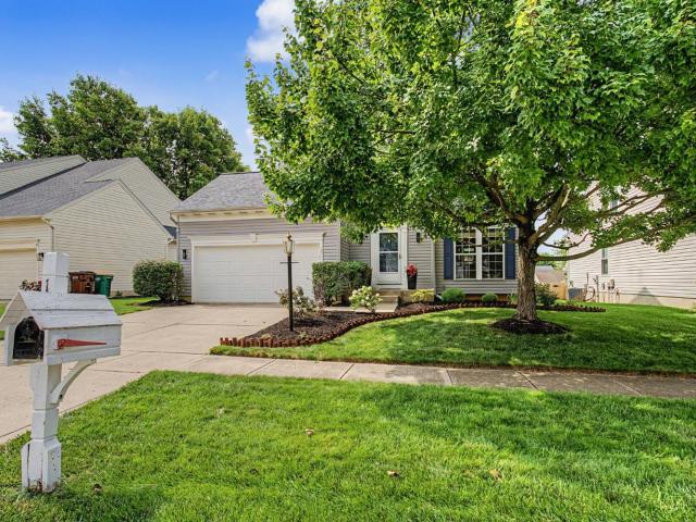 17 Christman Drive