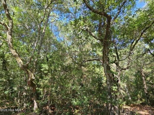 17 Col William Rhett Trail # 17