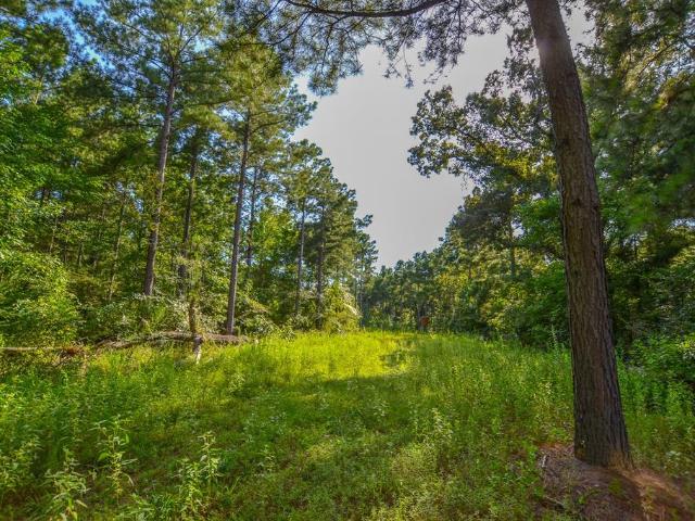 17 County Road 4224, Frankston, TX 75763 | MLS #20708 | Compass