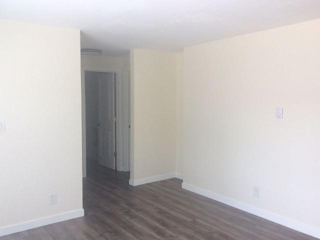 17 Derby Road LTD 1 Bedroom Apartment for Rent at 2801 Ne 12th St, Renton, WA 98056 Sunset
