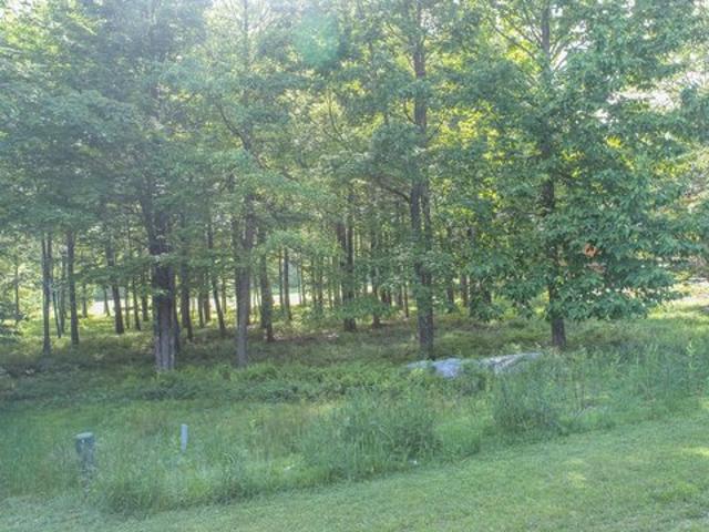 17 Fern Loop Dr, McHenry, MD 21541