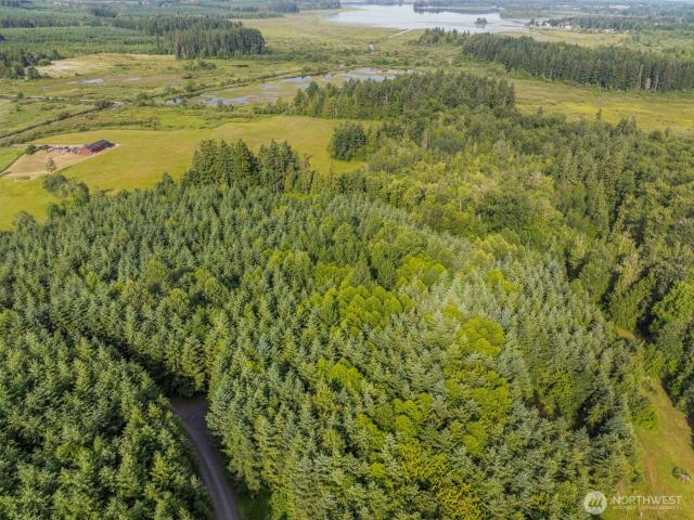 17 Grand Ridge Rd, Toutle, WA 98649 | MLS #2389