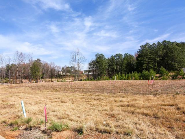 17 Hasbrook Ln, Unit SITE 1, Greenville, SC 29607 | MLS #1578 | Compass