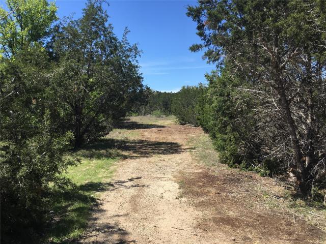 17 Heathrow Ln, Wimberley, TX 78676 | MLS #2378
