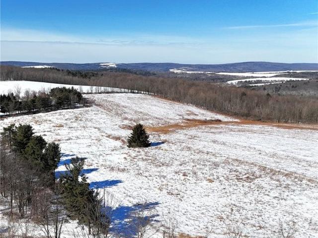 17 Kimble Rd, Beaver Dams, NY 14812
