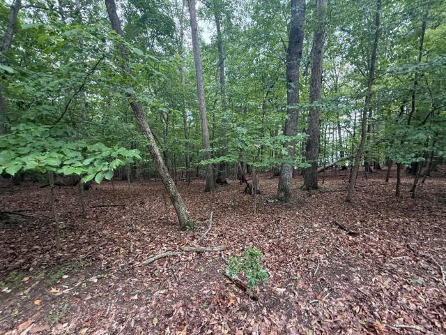 17 Lot Saunders Point Road
