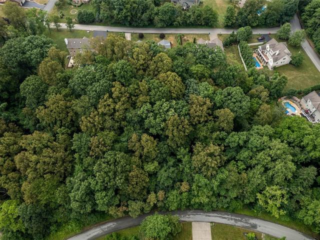 17 lot timberland dr