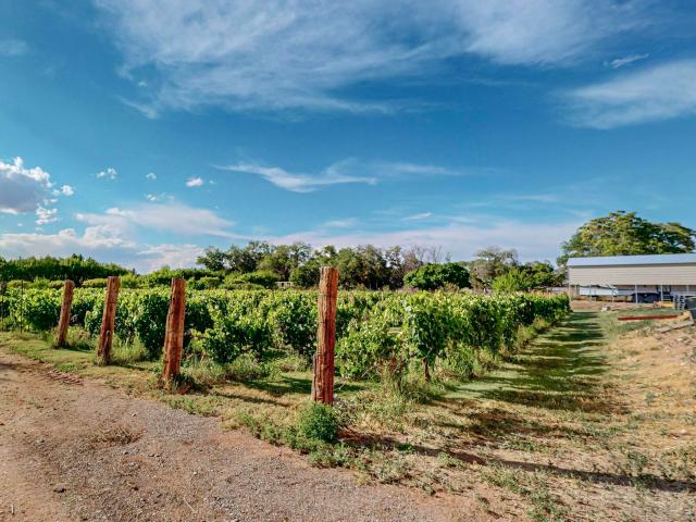 17 Llanito Road
