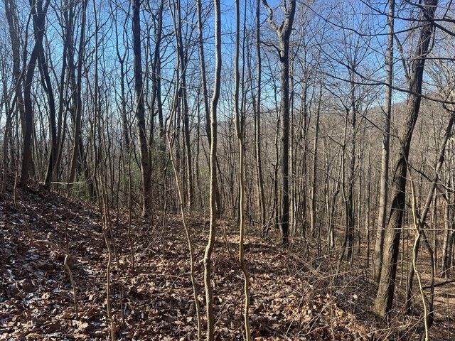 17 Oak Ridge Ests, Murphy, NC 28906