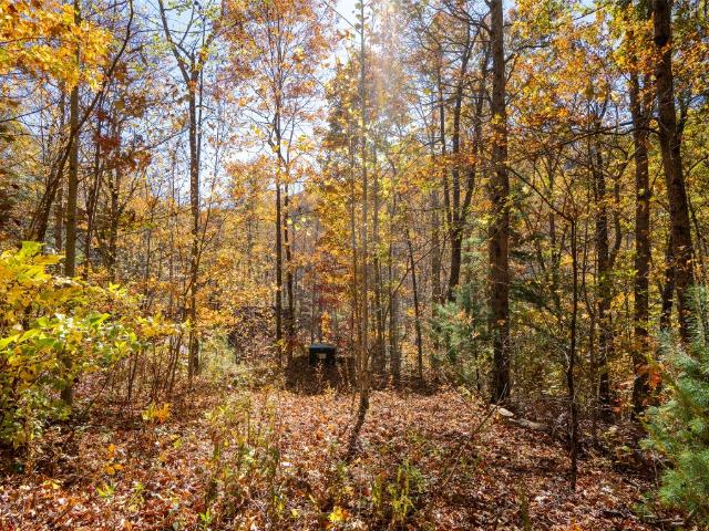 17 Pilot Knob Road