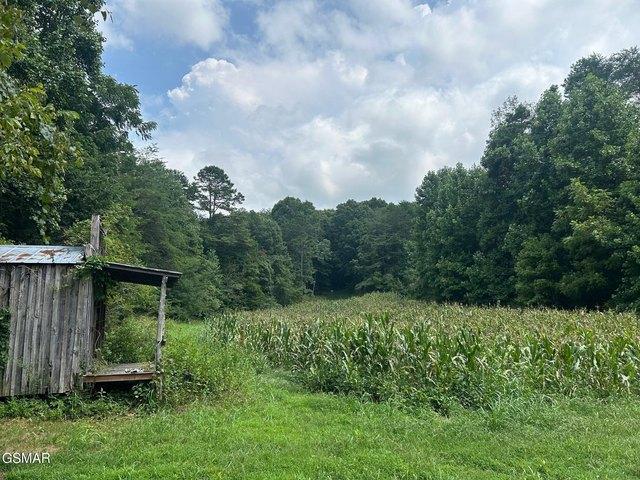 17 Pleasant View Cemetery Rd, New Market, TN 37820
