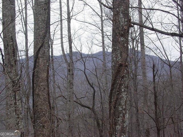 17 Roaring Rdg, Hiawassee, GA 30546