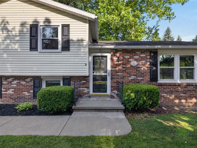 17 Shelly Road