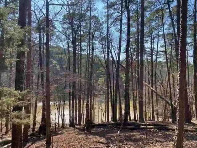 17 SOUTHRIDGE DR, MOUNT IDA, AR 71957 Vacant Land For Sale ML.